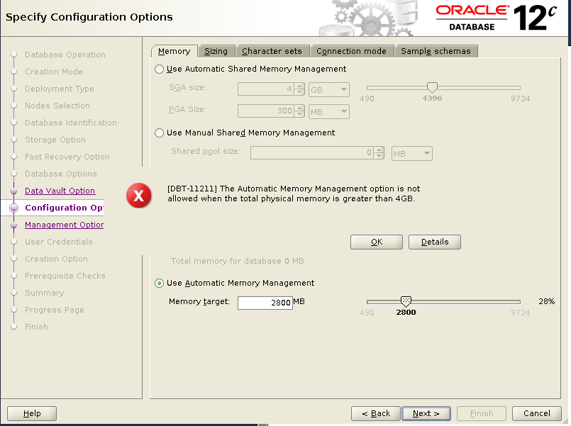 [DBT-11211] The Automatic Memory Management option is not allowed when ...